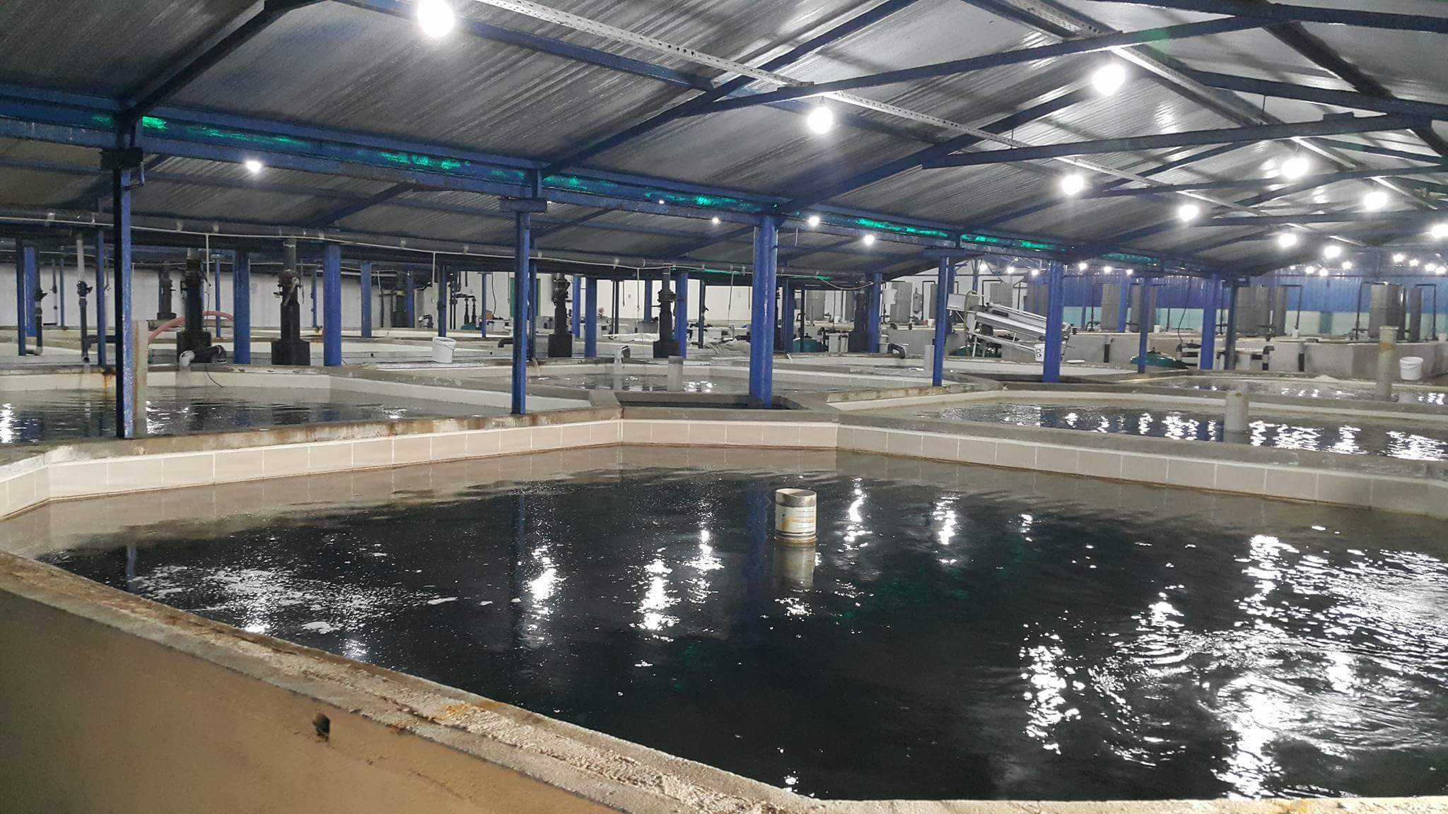 Sevkiyat Havuzları | İda Gıda